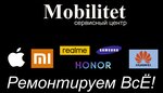 MobiliTeT (ulitsa Volodarskogo No:20), bilgisayar teknik servisleri  Orenburg'dan