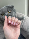 NB nails (Ryabinovaya Street No:3к3), manikür-pedikür  Moskova'dan
