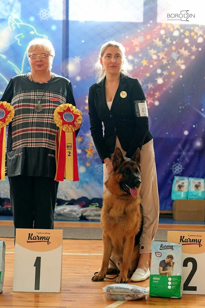 Hayvanat bahçesi merkezi ForDog22, Rubtsovsk, foto