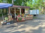 Магазин овощей и фруктов (Nizhniy Novgorod, Beketova Street), manavlar  Nijni Novgorod'dan