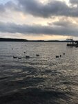 Visagino ežero (Parko gatvė No:14), plaj  Visaginas'tan