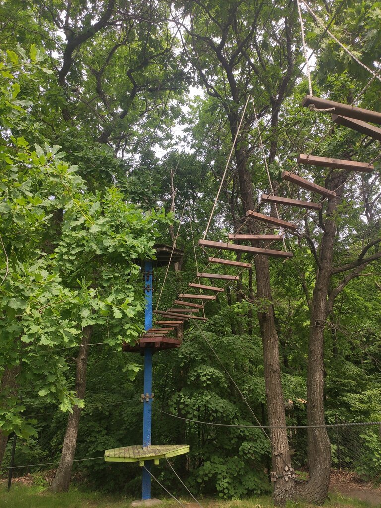 i̇pli oyun park Гиббон, Ulyanovsk, foto