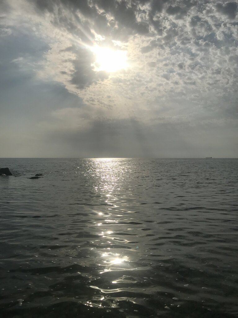 Piknik alanı Place for picnic, Gelencik, foto