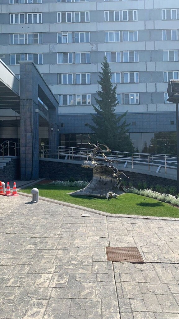 Park, sokak heykeli Птицы, Novosibirsk, foto