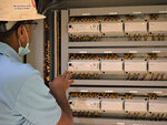 Al Sadeel Electromechanical Works (13, 14B Street, Al Quoz Industrial 3, Al Quoz Industrial, Hadaeq Mohammed Bin Rashid, Dubai), elektrik servisi  Dubai'den