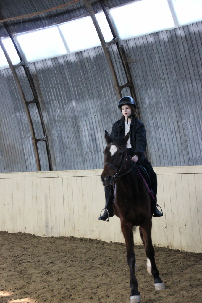 At ve binicilik kulüpleri Ишеевская конно-спортивная школа, Ulyanovskaya oblastı, foto