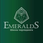 Emeralds (Sovetskaya Street No:70, Severniy Subdistrict), spor kulüpleri  Domodedovo'dan