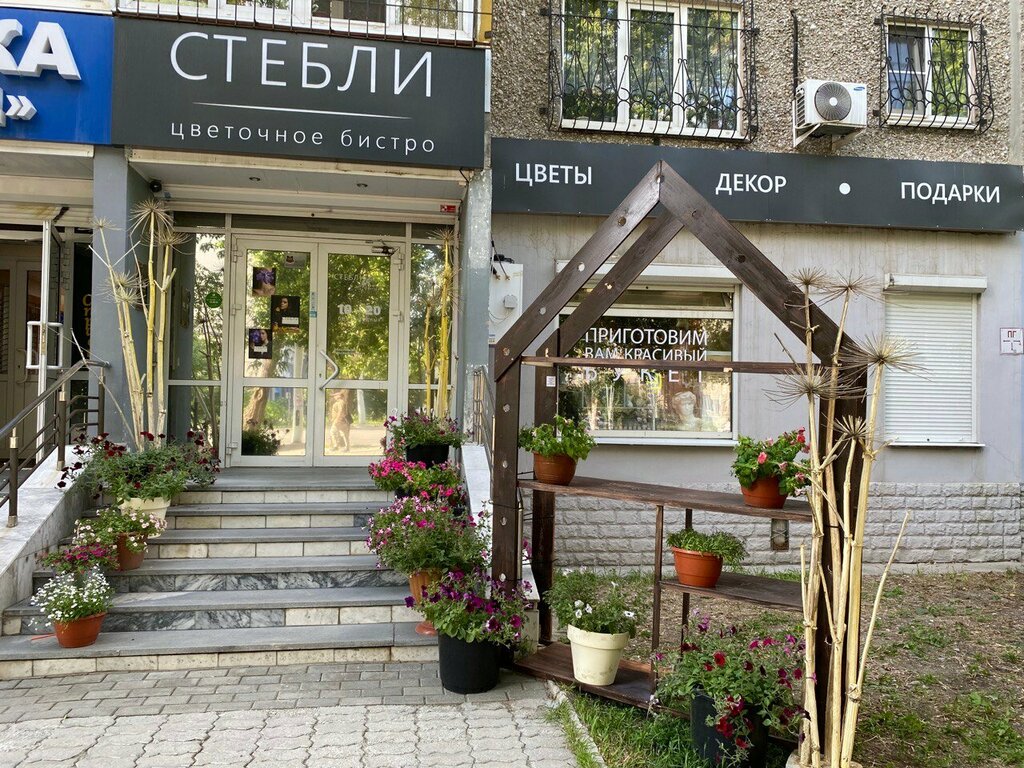 Çiçekçiler Стебли, Yekaterinburg, foto