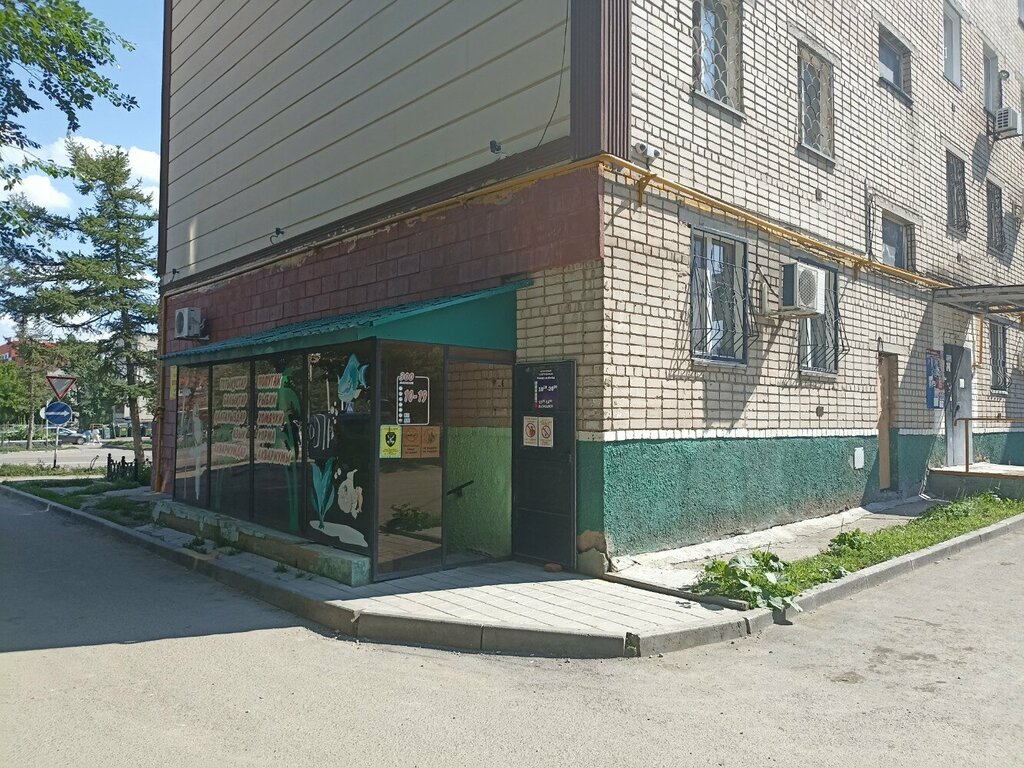 Petshop Pet Shop, Kostanay, foto