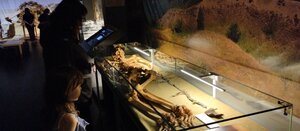 HIstorical Park Russia is My History (Shelkovichnaya ulitsa No:19, Saratov), müzeler ve sanat galerileri  Saratov'dan