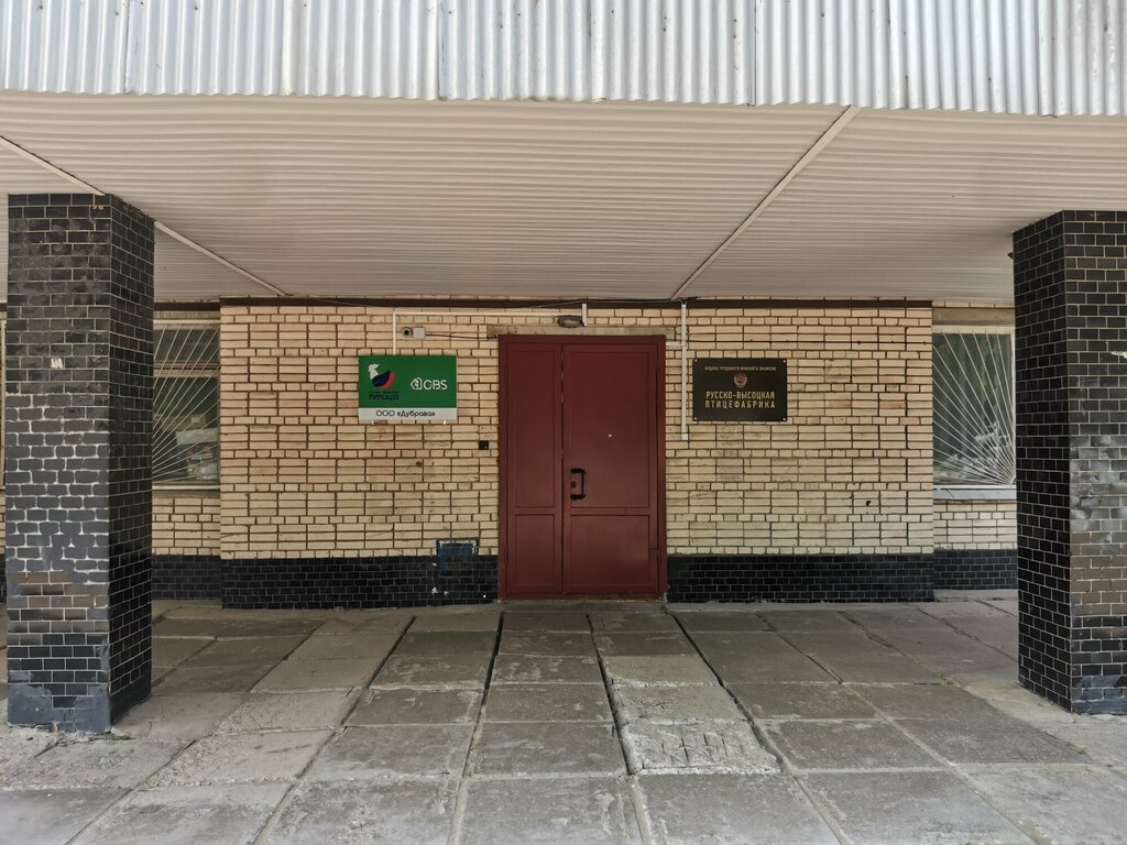 Kümes hayvanları çiftliği Дубрава, Saint‑Petersburg ve Leningradskaya oblastı, foto