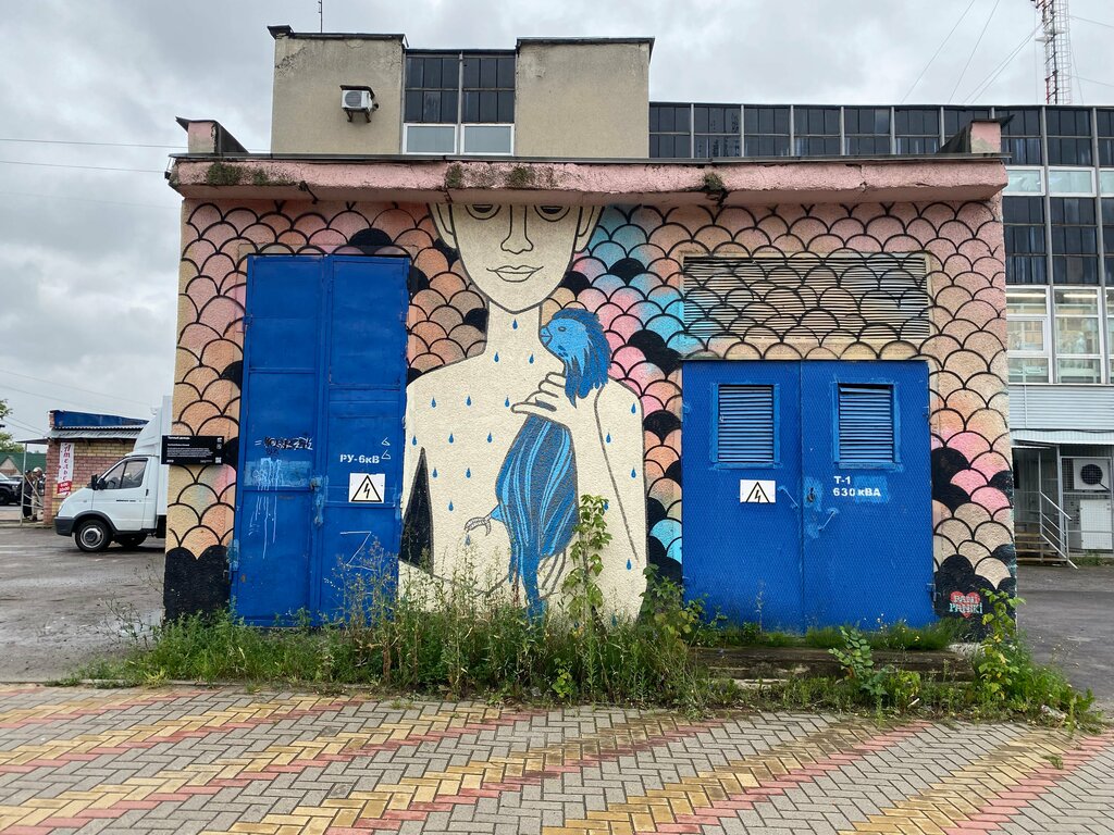 Sokak sanatı Граффити Синий петух, Vyksa, foto