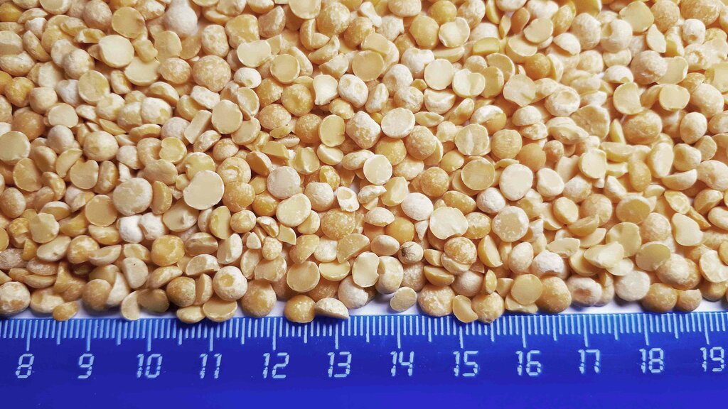 Un ve tahıllar Bkk Naladchik, Biysk, foto