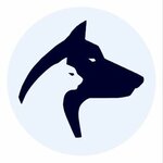 Proyekt maysky den (Okulovoy Street No:71А), hayvan barınakları, kulüpleri ve otelleri  İvanovo'dan