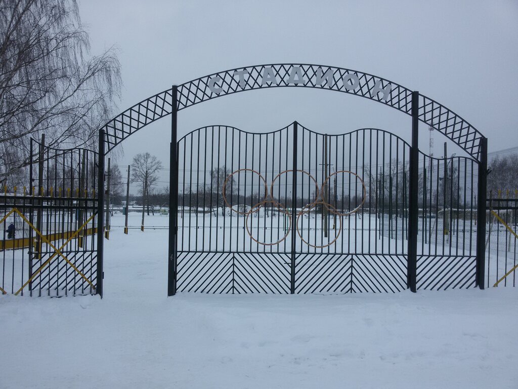 Çok amaçlı spor tesisleri Большедворский, Moskova ve Moskovskaya oblastı, foto
