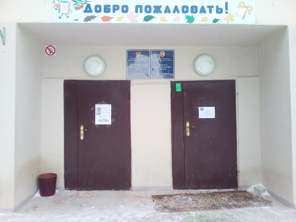 Ortaokul Mbou Ayshinskaya srednyaya obshcheobrazovatelnaya shkola Zelenodolskogo munitsipalnogo rayona Respubliki Tatarstan, Tataristan, foto