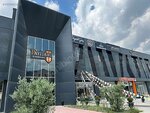 Prof. Dr. Ramazan Akdemir Muayenehanesi (Sakarya, Serdivan, Arabacıalanı Mah., 541. Sok., 15H), özel muayenehaneler  Serdivan'dan