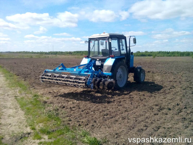Tarım firmaları Vspashka zemli, Moskova, foto