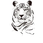 Tiger SMS (1, 20 Street, Al Barsha 1, Al Barsha, Hadaeq Mohammed Bin Rashid, Dubai), bilişim firmaları