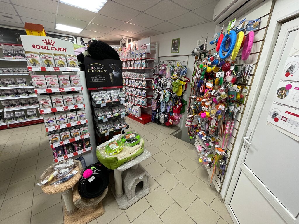 Petshop Dogira, Rostov‑na‑Donu, foto