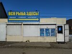 Рыбка (8-ya ulitsa No:1А, Ulan-Ude, sadovodcheskoye nekommercheskoye tovarishchestvo Sibiryak), balık ve deniz ürünleri  Ulan‑Ude'den