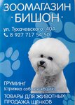 Бишон (Tukhachevskogo Street No:40А), petshop  Samara'dan