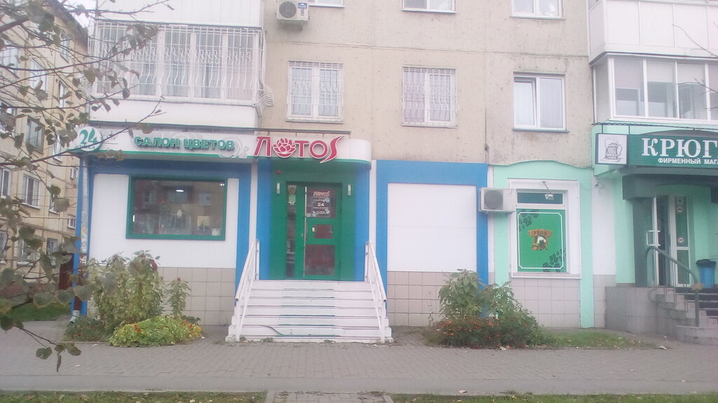 Çiçekçiler Лотос, цветочный салон, Kemerovo, foto