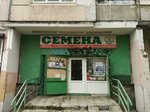 Magazin Cvetov (Udarnikov Avenue No:42А), çiçekçiler  Saint‑Petersburg'dan