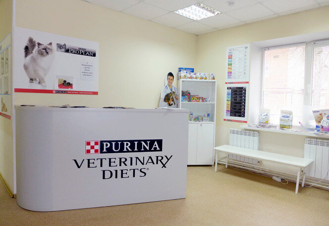 Veteriner klinikleri Vetklinika Olga, Vladimir, foto