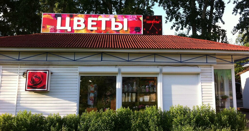 Çiçekçiler Dom Tsvetov, Vologda, foto