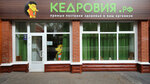Kedrovia.ru Kedrovaya komnata (Frunze Avenue No:86, Tomsk), oyun odası  Tomsk'tan