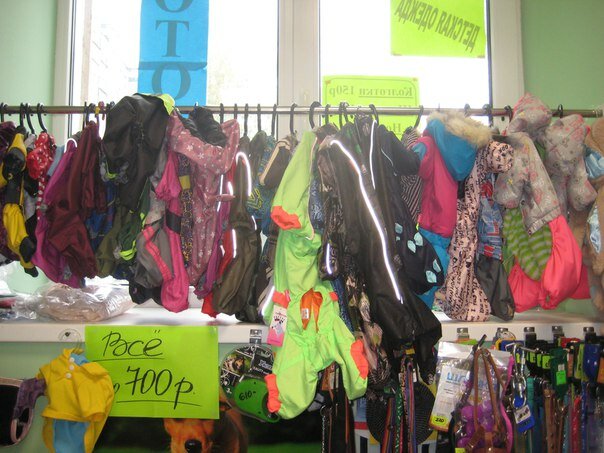 Petshop Magazin zootovarov ToToshka, Belgorod, foto