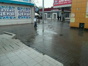 Beer market (Heroes of Kharkov Avenue No:256, Kharkiv), bira dükkanı  Harkiv'den