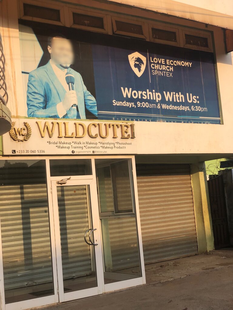 Stil uzmanı, makyöz Wildcuttei, Dünya, foto