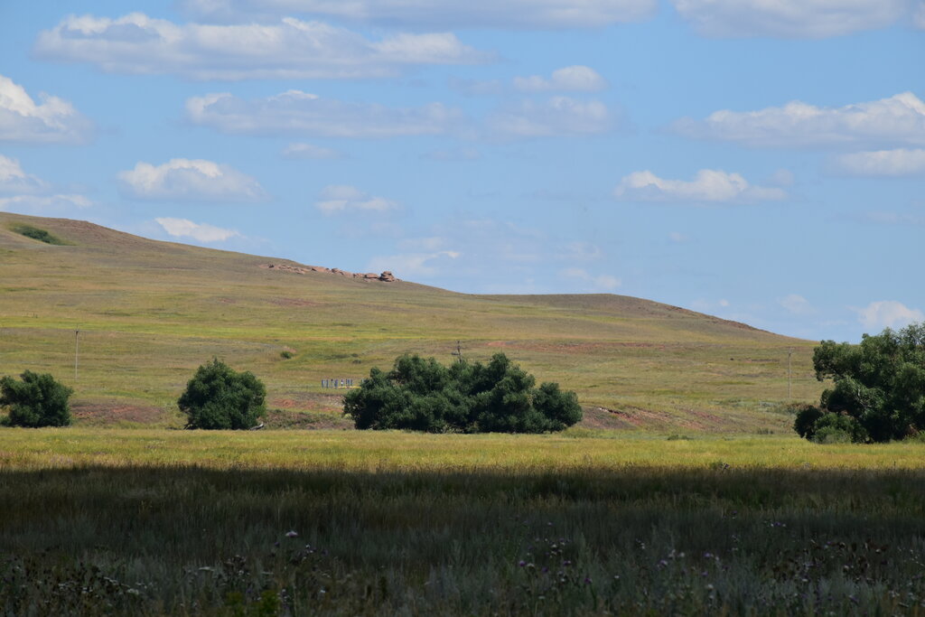 Doğa Урочище Петровские горы, Orenburgskaya oblastı, foto