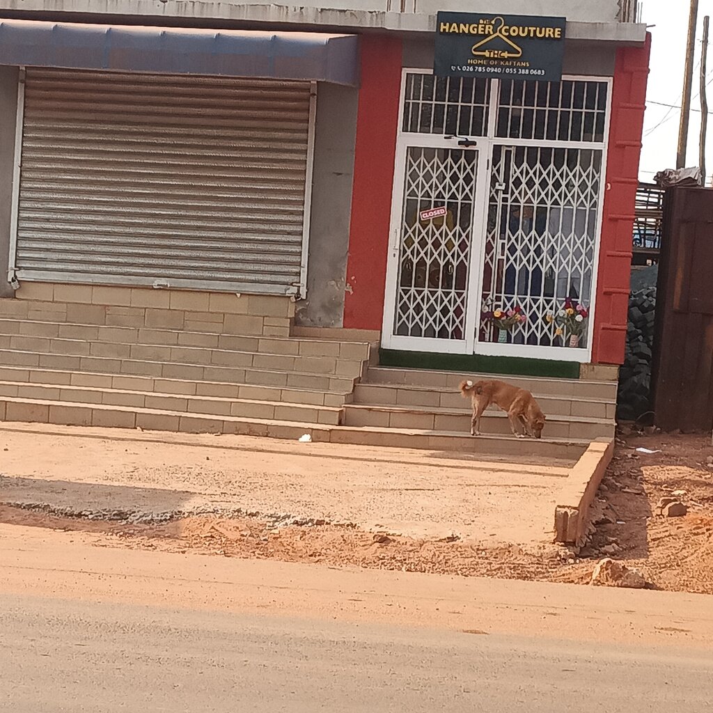 Giyim mağazası Hanger couture, Dünya, foto