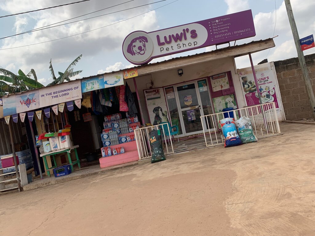 Petshop Luwi's, Dünya, foto