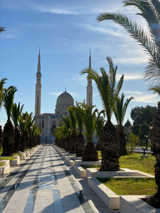 Emir Abdelkader Mosque (Constantine, Constantine), cami  Constantine'den