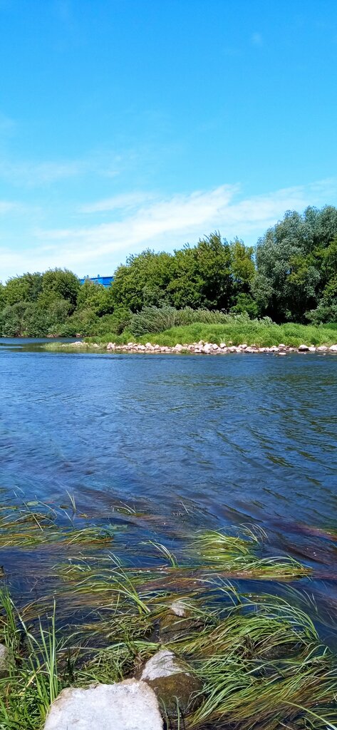 Doğa Остров Бык, Smolensk, foto