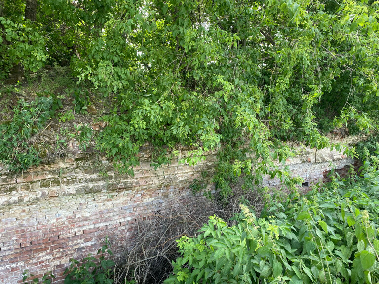 Turistik yerler Усадьба графа И.С. Байбуса, Belgorodskaya oblastı, foto