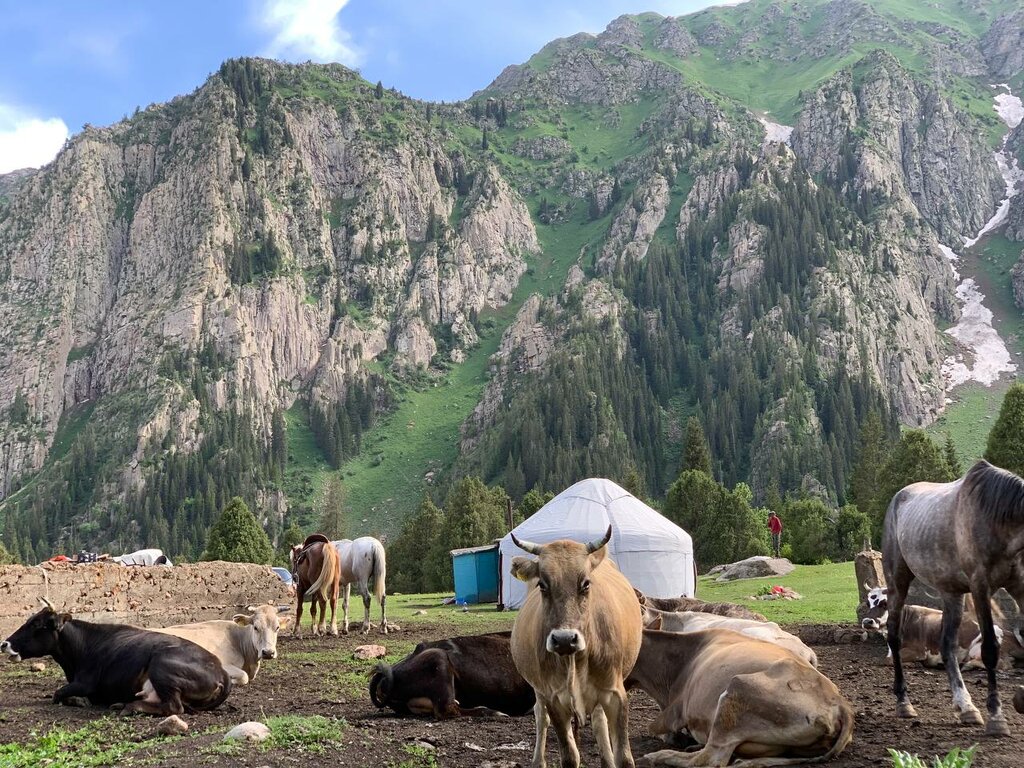 Pansiyonlar, hosteller Visit Toktogul, , foto