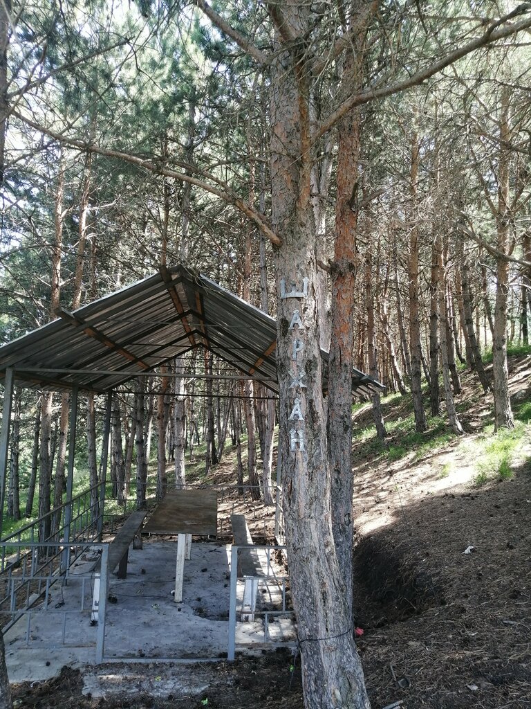 Orman Цинубанский питомник, , foto