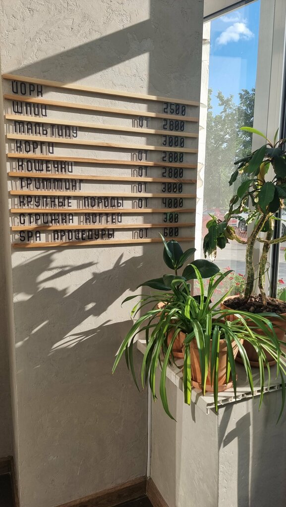 Hediyelik eşya üretimi ve toptan satışı Agatis, Saransk, foto