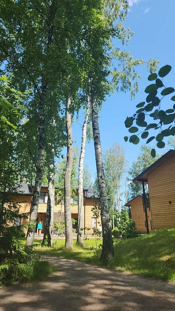 Uzmanlık eğitimi Озаригн, Saint‑Petersburg ve Leningradskaya oblastı, foto