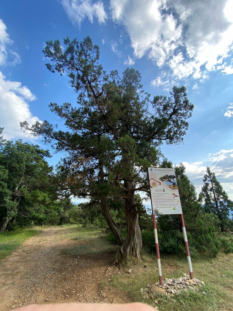 Dağ zirvesi Скала Ура, Kırım Cumhuriyeti, foto