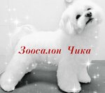 Зоосалон Чика (Altufyevskoye Highway No:102Б), evcil hayvan kuaförleri  Moskova'dan