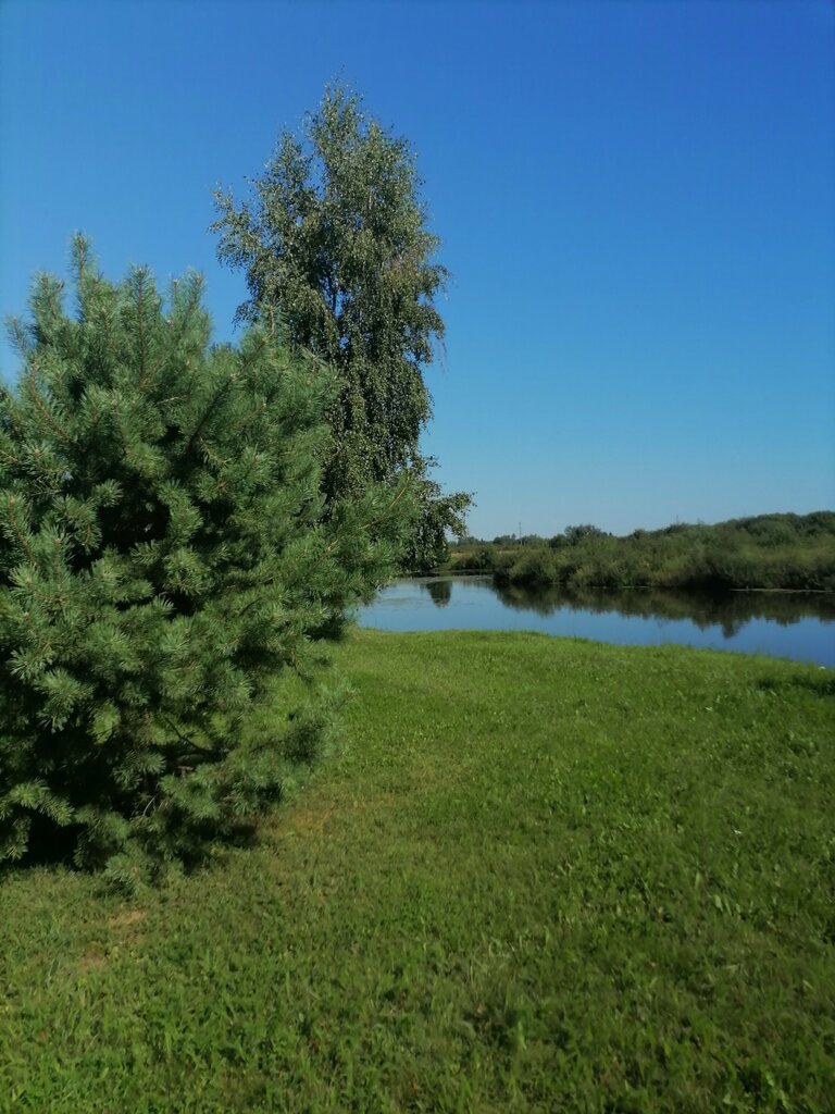 Plaj Пляж, Yaroslavskaya oblastı, foto