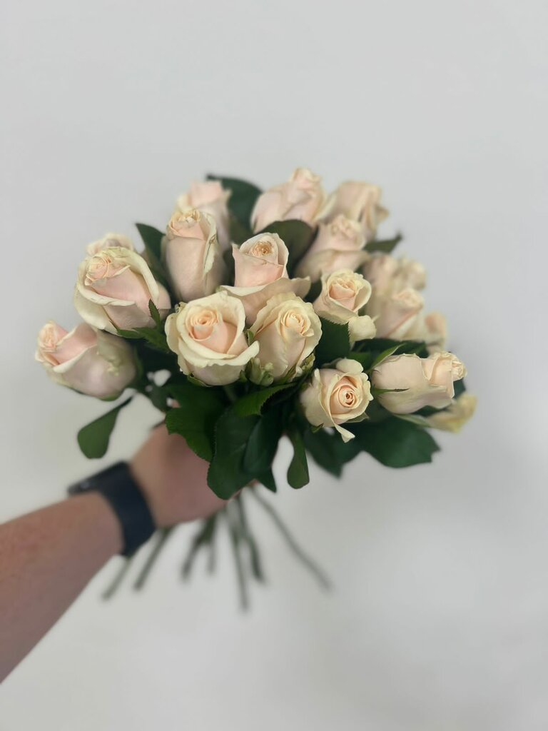 Çiçekçiler Red and Green Flower, Sevastopol, foto