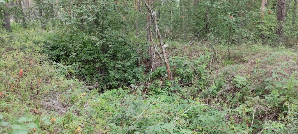 Unutulmaz olayların yeri Место падения U-2, Sverdlovskaya oblastı, foto