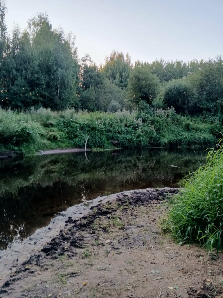 Plaj Пляж, Saint‑Petersburg ve Leningradskaya oblastı, foto